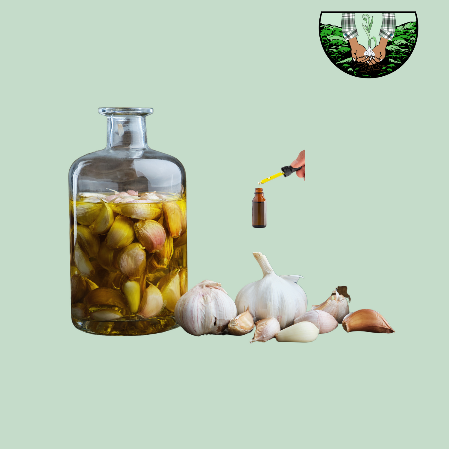 Knowledge Base – garlicescape